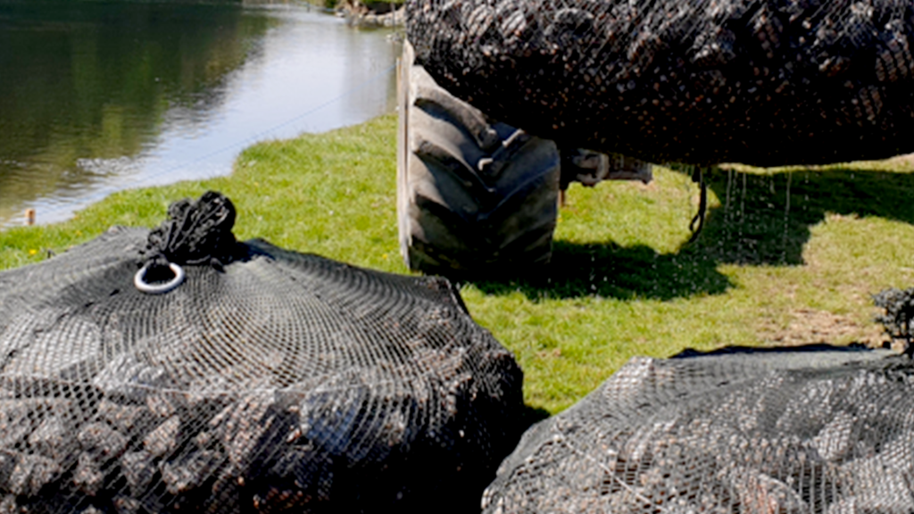 Coastal Protection | PGATECH Group of Companies | Engineering Technologies