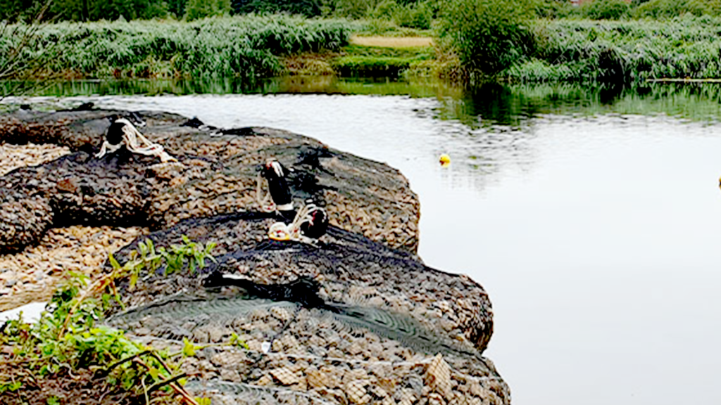 Coastal Protection | PGATECH Group of Companies | Engineering Technologies