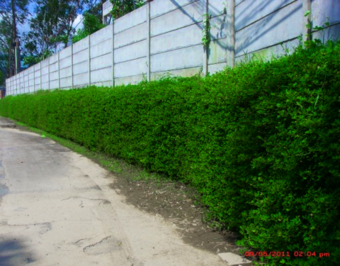 MSE Wall | PGATECH Group of Companies | Engineering Technologies