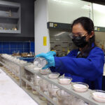 Construction Material Testing Services | PGATECH